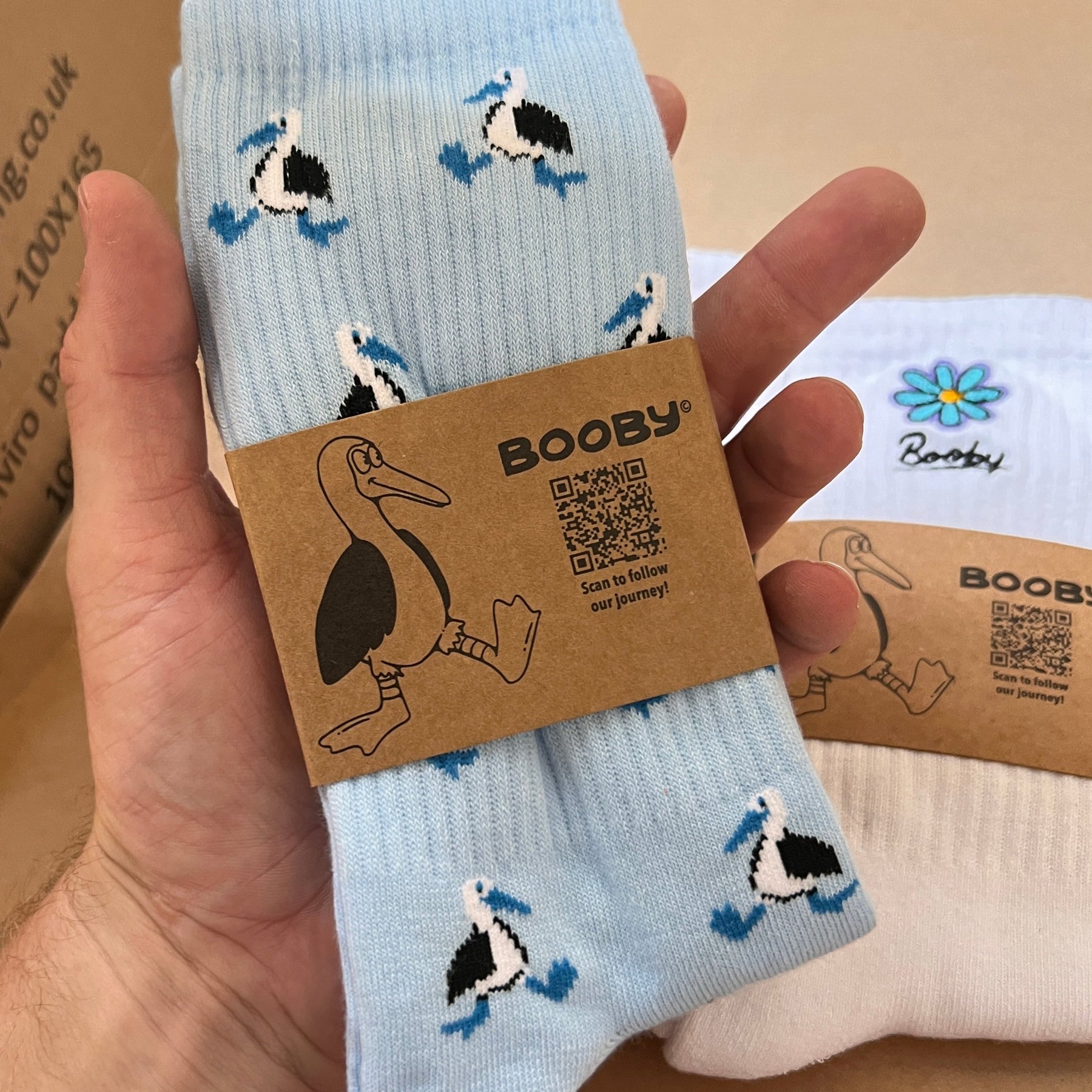 Booby